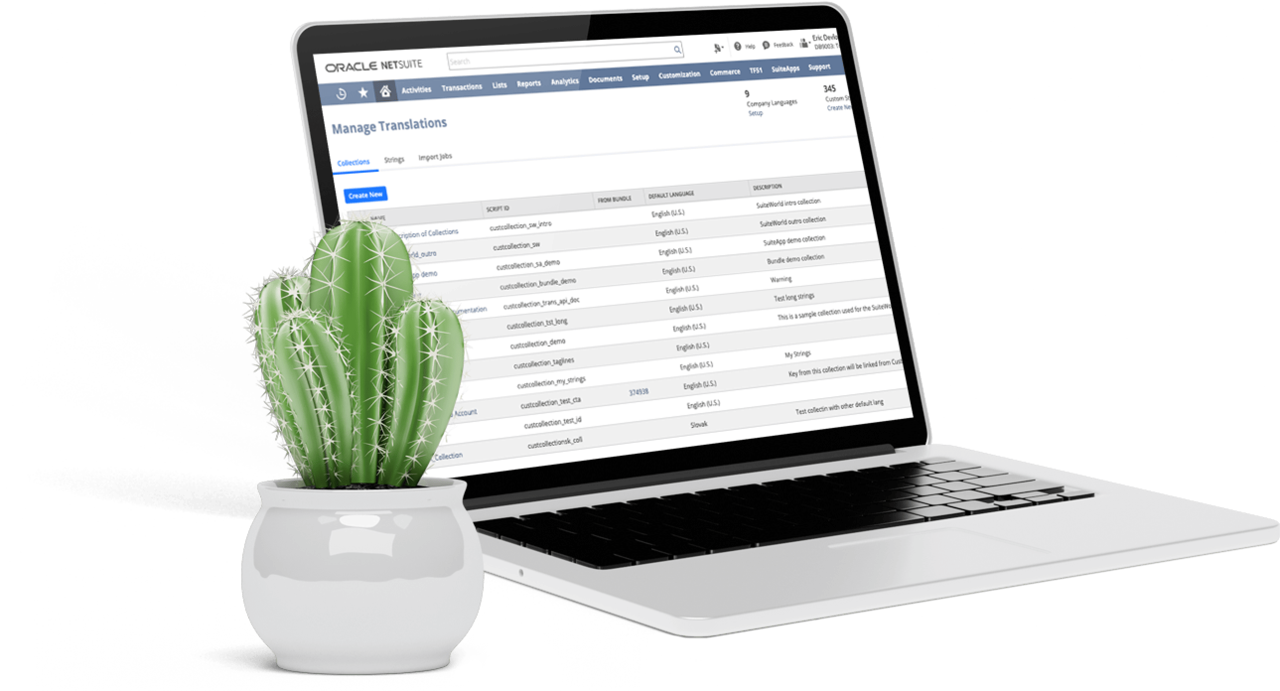 Netsuite Customization Services For Your Business Seller Universe